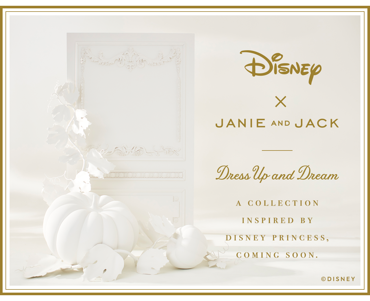 Disney Princess Coming Soon X Janie and Jack collection.